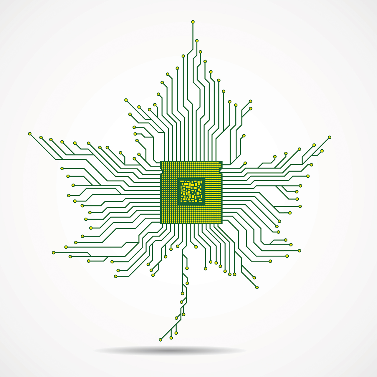 Crunching the Numbers | St. Lawrence University