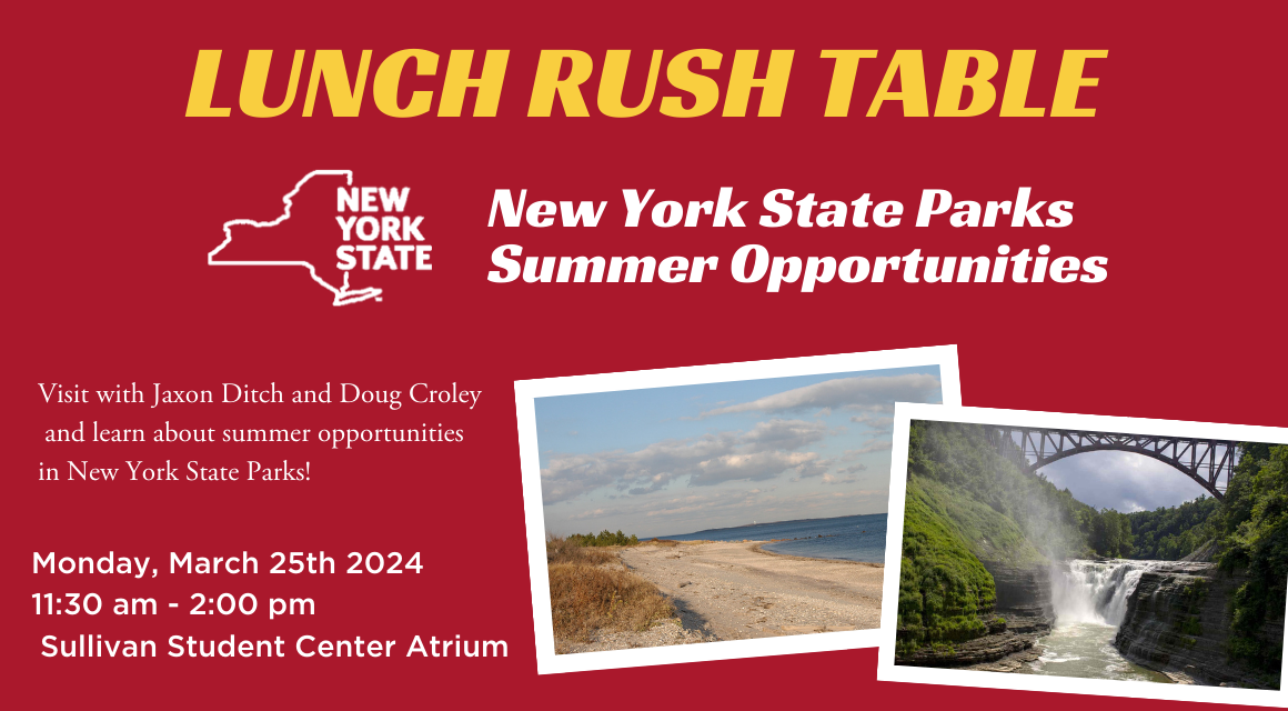 Lunch Rush Table: New York State Parks Summer Opportunities | St ...