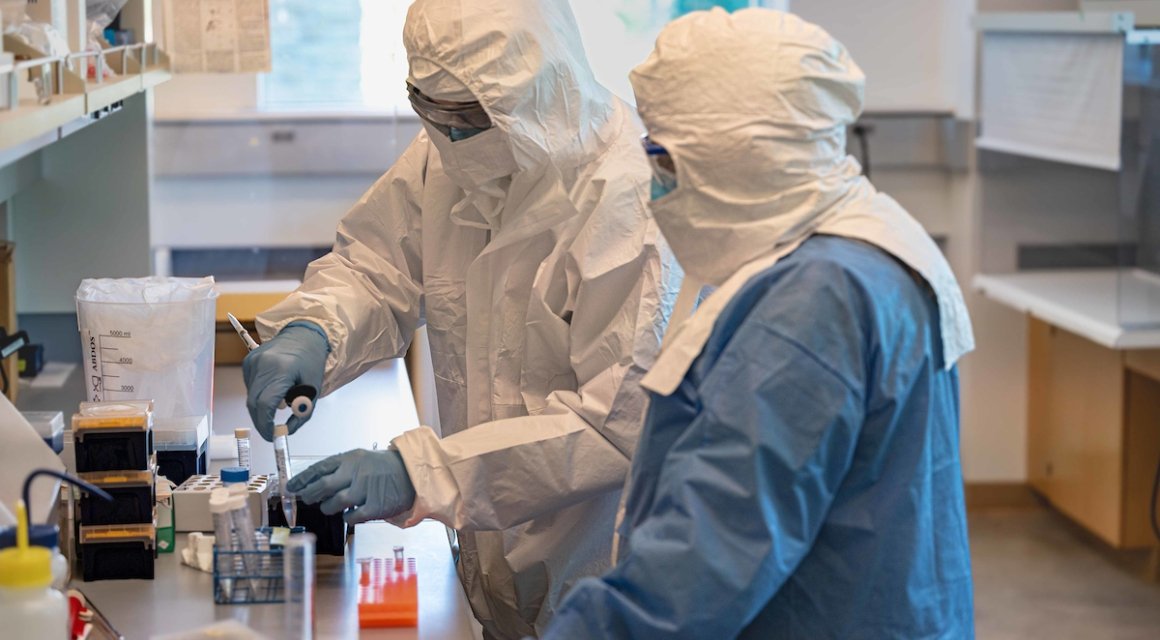 From Adirondack Glaciers to Bronze-Age Microbiomes, Six Science Research Topics That Kept ...