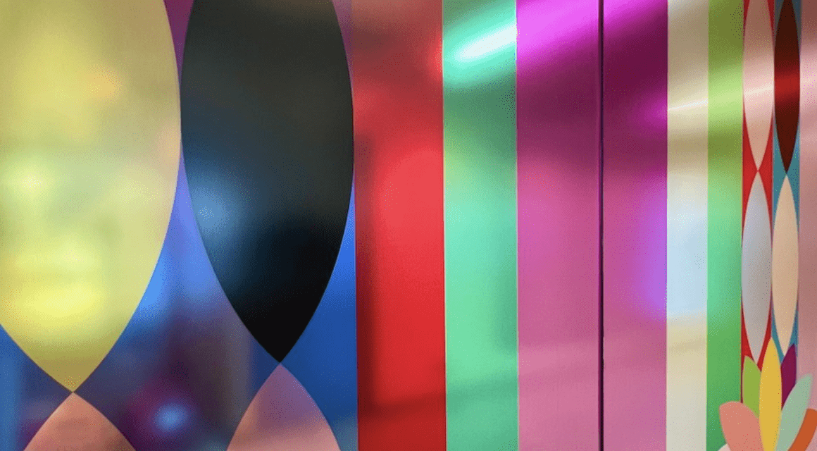 Shannon Novak: Make Visible | St. Lawrence University