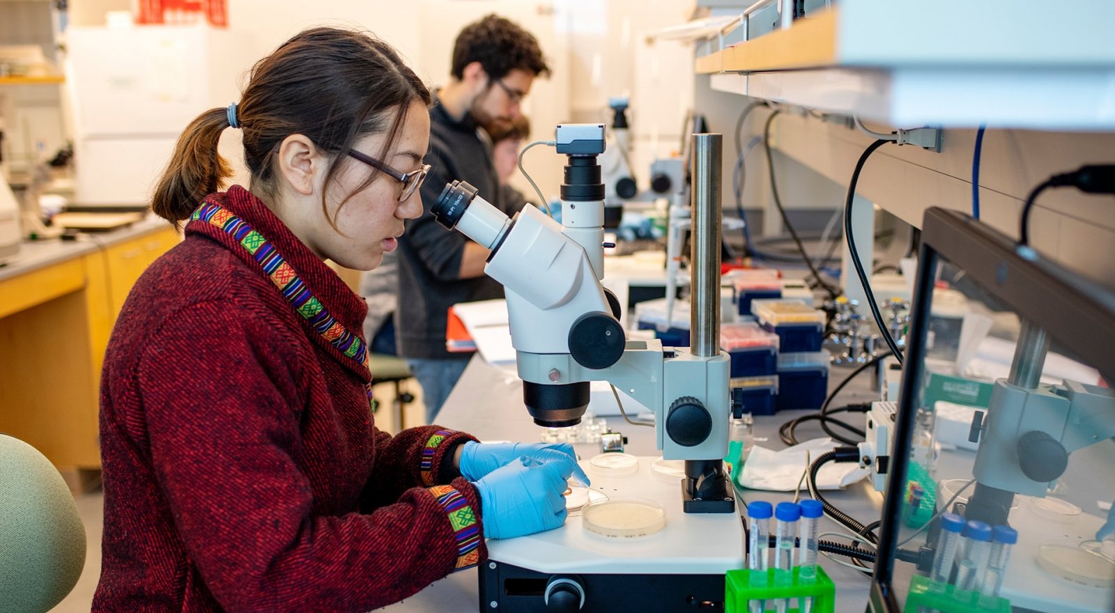 Pre-Professional and Dual-Degree Programs | St. Lawrence University