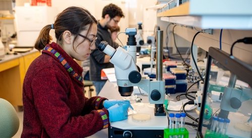 Pre-Professional and Dual-Degree Programs | St. Lawrence University