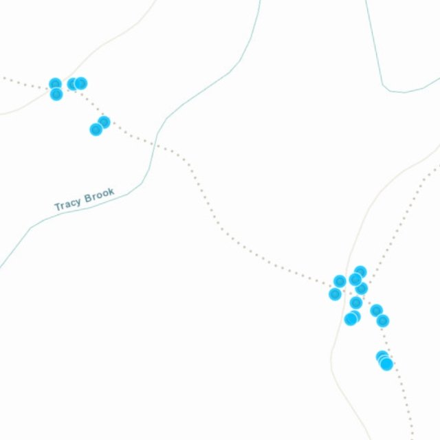 Canadian Lily Conservation | St. Lawrence University