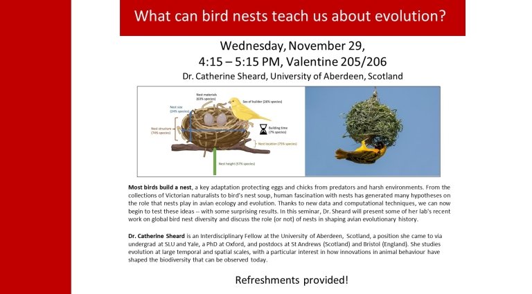 What can bird nests teach us about evolution? | St. Lawrence University