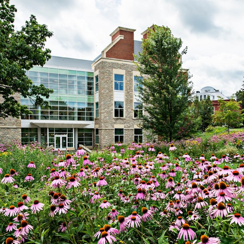 360-Degree Campus Tours | St. Lawrence University