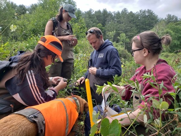 How a Wildlife Detection Dog and His Student Handlers Are Helping ...